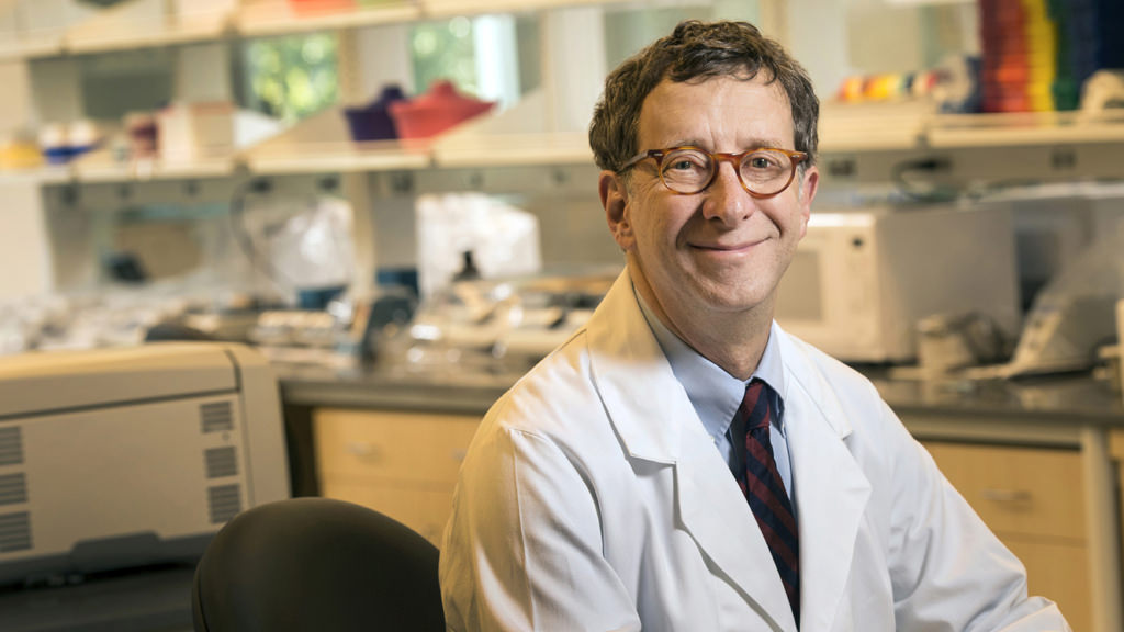 Information for Faculty and Staff | Emory School of Medicine